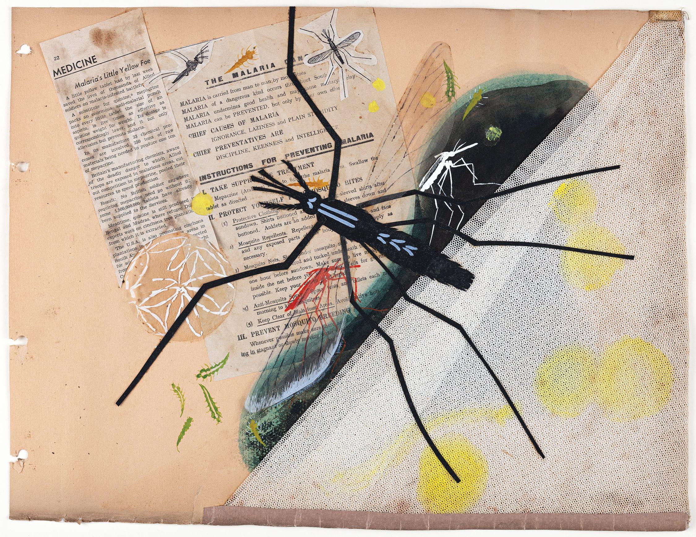 Brookshaw, Percy Drake (1907 – 1993) – P.25: The Danger of Malaria ...