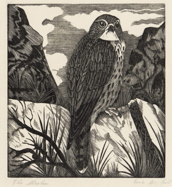 DAGLISH Eric Fitch (1892-1966) – ‘The Merlin’. | ABBOTT and HOLDER
