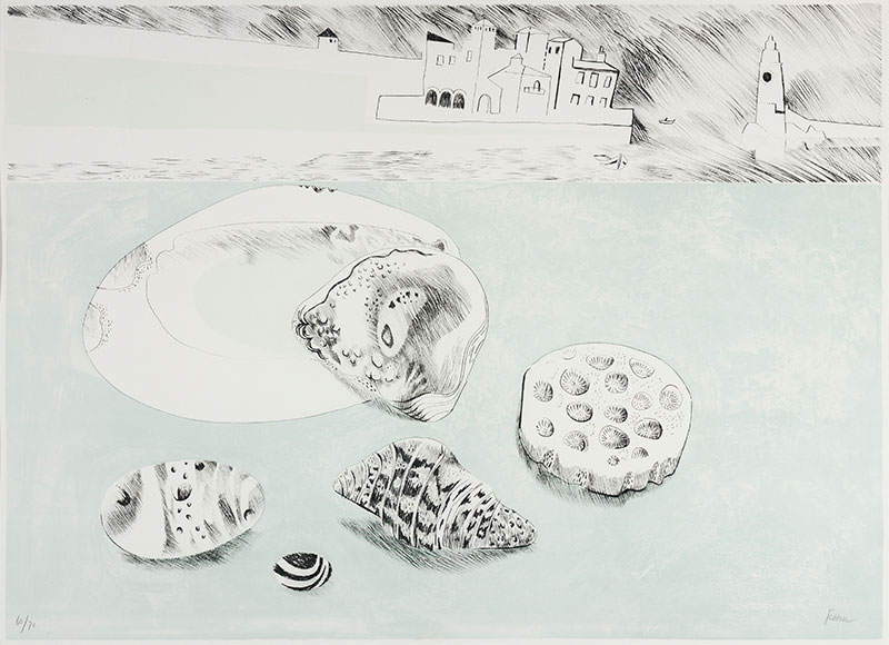 FEDDEN Mary (1915-2012) – ‘Shells and Pebbles’. | ABBOTT and HOLDER